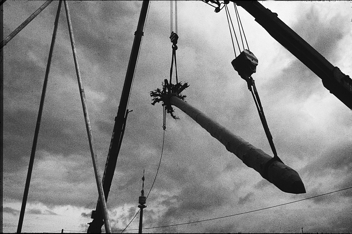 Hanging Tree – Herman Prigann